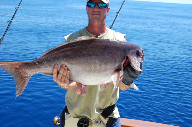 Barrelfish – Mariner Consulting Services