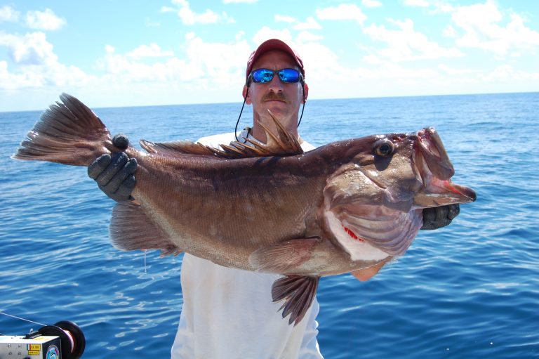 Snowy Grouper – Mariner Consulting Services