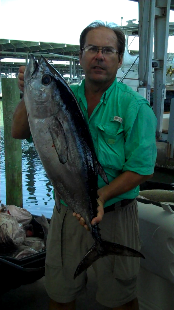 Blackfin Tuna – Mariner Consulting Services